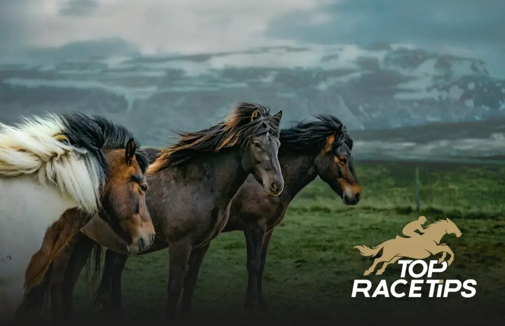 The Coolest Racing Horse Names - Top Race Tips